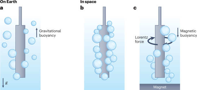 A magnetic push for electrolysis in space | Nature Chemistry