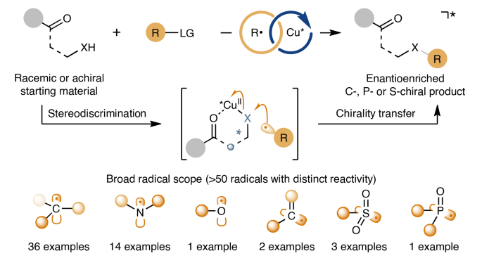 Copper-catalysed asymmetric cross-coupling reactions tolerant of highly ...