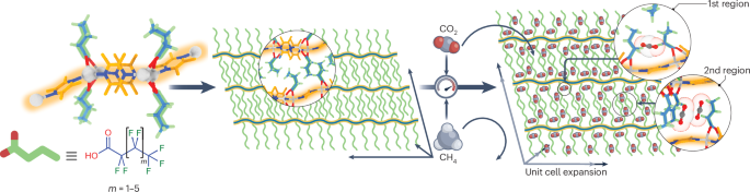 CO2 sorption in fluorinated non-porous coordination polymers | Nature ...