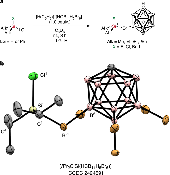 Making isolable halosilylium Lewis superacids by protonation | Nature ...