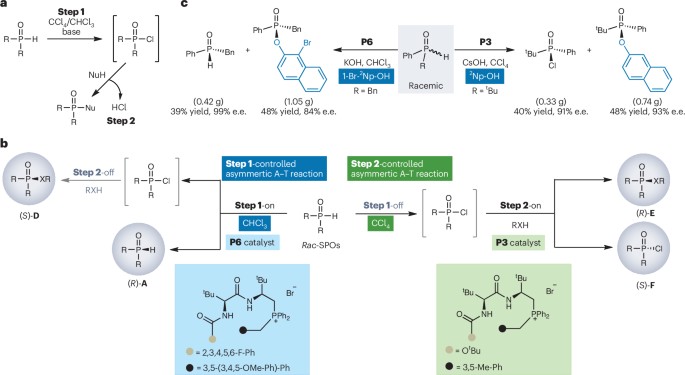 Biomimetic catalysis enables asymmetric Atherton–Todd reaction | Nature ...