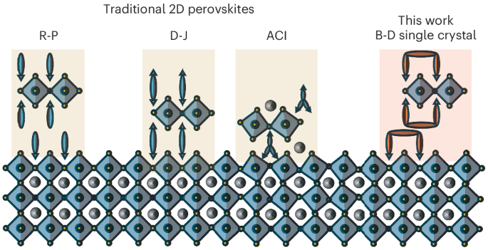 Intralayer bidentate diammoniums for stable two-dimensional perovskites ...