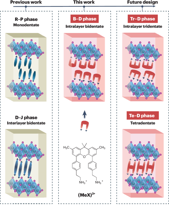 2D perovskites featuring intralayer bidentate ligands | Nature Chemistry