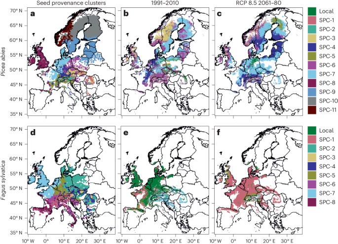 Assisted tree migration can preserve the European forest carbon sink ...