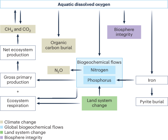 Aquatic deoxygenation as a planetary boundary and key regulator of ...