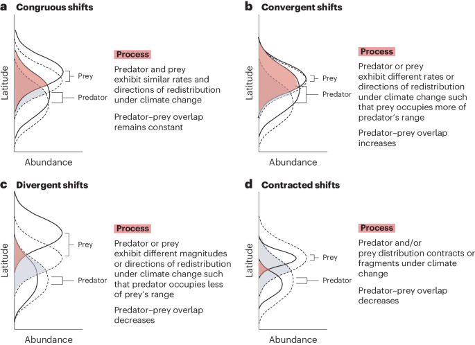 Spatial match–mismatch between predators and prey under climate change ...