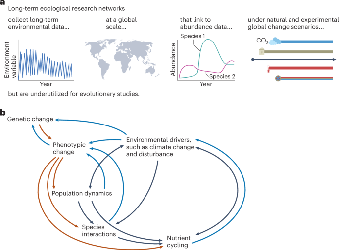The value of long-term ecological research for evolutionary insights ...