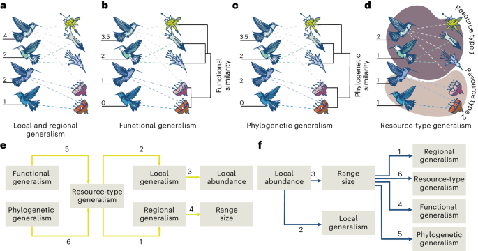 Generalism in species interactions is more the consequence than the ...