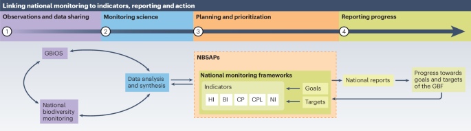Progress in developing and operationalizing the Monitoring Framework of ...