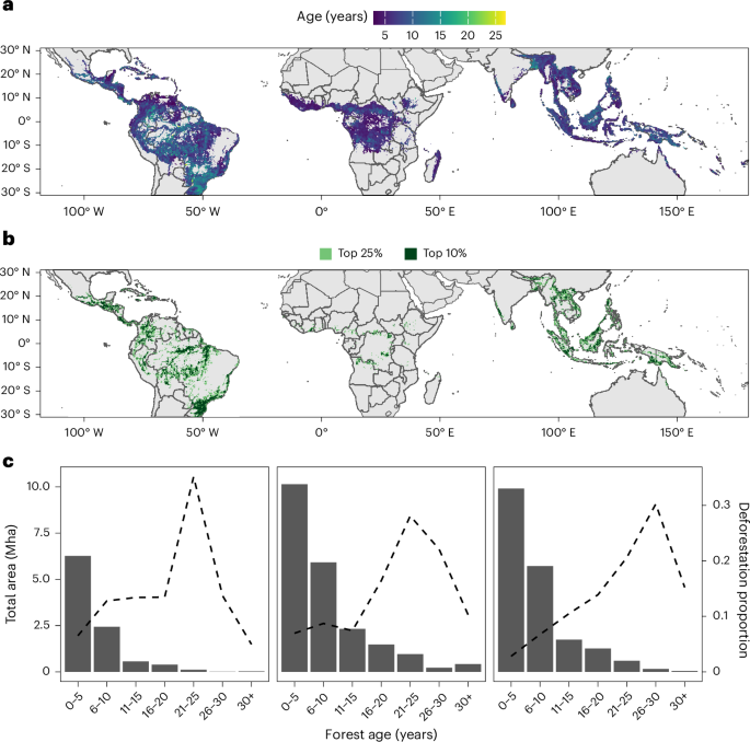 The pan-tropical age distribution of regenerating tropical moist forest ...