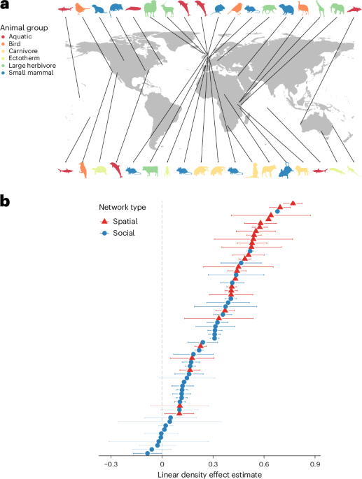 Animal networks become more connected in densely populated areas ...
