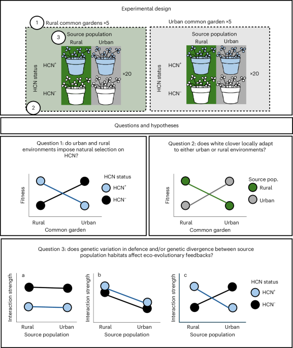 Effects of urbanization on local adaptation and eco-evolutionary ...