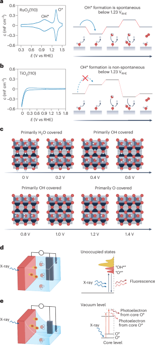 Probing intermediate configurations of oxygen evolution catalysis ...