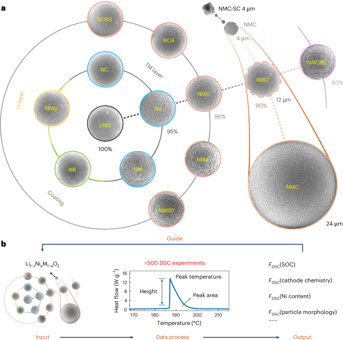 Navigating thermal stability intricacies of high-nickel cathodes for ...
