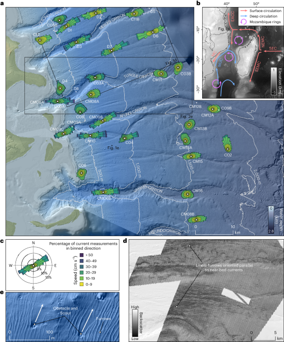 Highly variable deep-sea currents over tidal and seasonal timescales ...