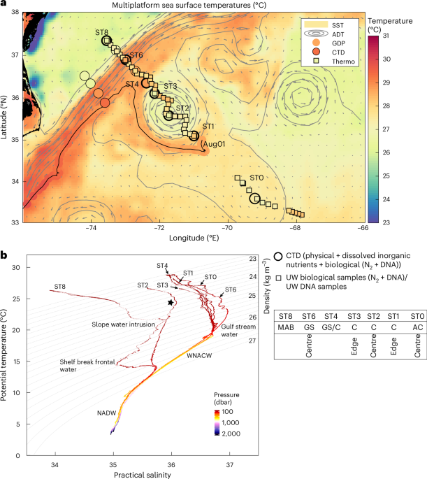 Nitrogen fixation in the North Atlantic supported by Gulf Stream eddy ...
