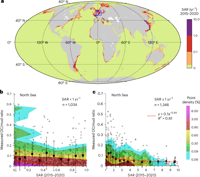 Long-term carbon storage in shelf sea sediments reduced by intensive ...