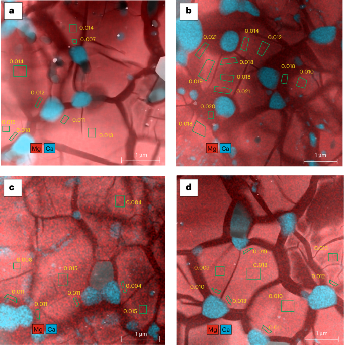Persistence of davemaoite at lower-mantle conditions | Nature Geoscience