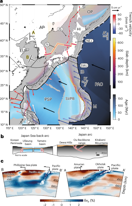 Non-collisional orogeny in northeast Japan driven by nearby same-dip ...