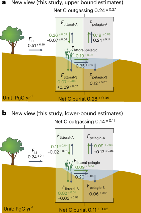 Including overlooked littoral zones in lake carbon budgets can switch ...