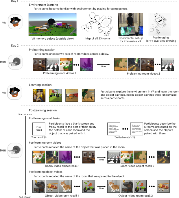 Spatial contexts with reliable neural representations support ...