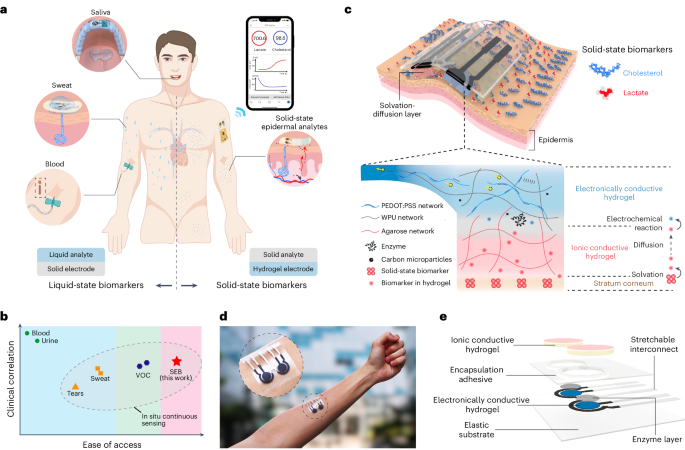 Stretchable ionic–electronic bilayer hydrogel electronics enable in situ detection of solid ...