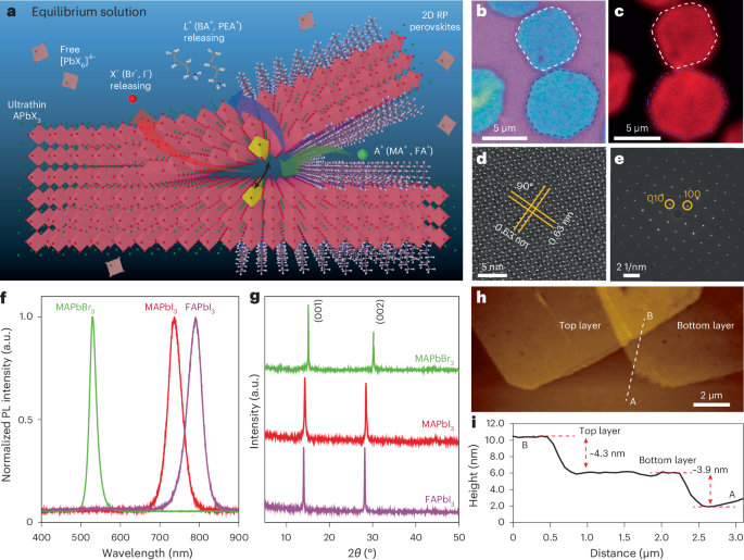 Moiré superlattices in twisted two-dimensional halide perovskites ...