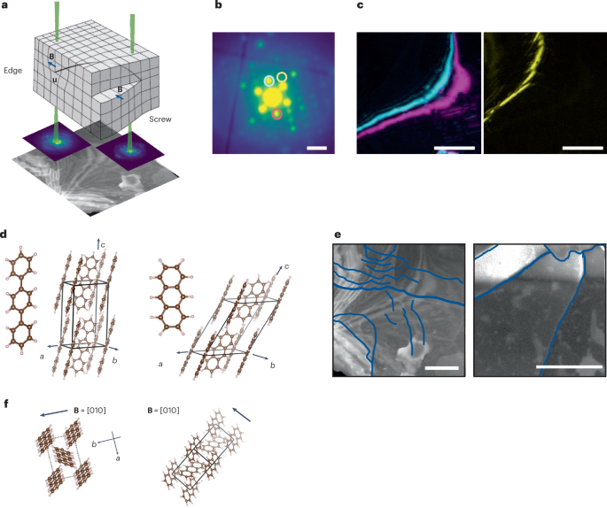 Locating dislocations in organic crystals | Nature Materials