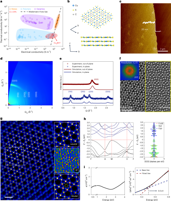 Unveiling high-mobility hot carriers in a two-dimensional conjugated ...