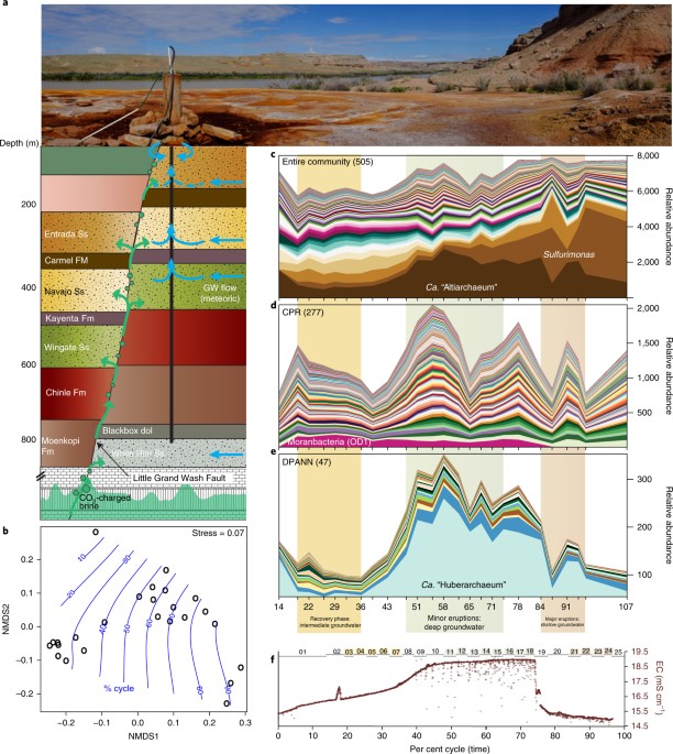 Differential depth distribution of microbial function and putative ...
