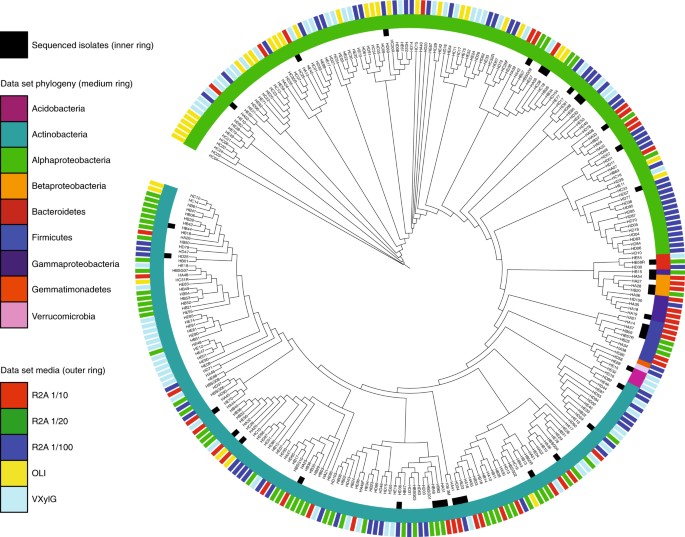 Dynamic root exudate chemistry and microbial substrate preferences ...