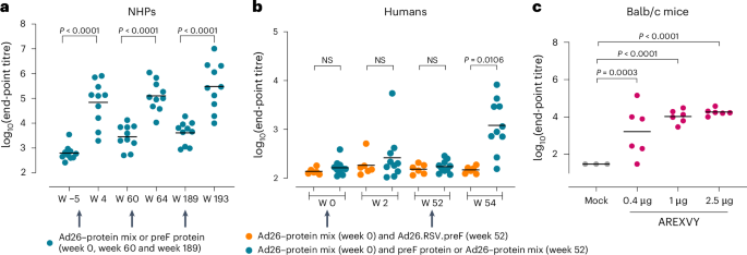 A foldon-free prefusion F trimer vaccine for respiratory syncytial ...
