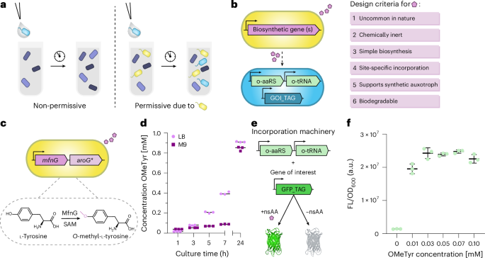 Engineered orthogonal and obligate bacterial commensalism mediated by a ...