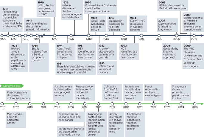 The multi-kingdom cancer microbiome | Nature Microbiology