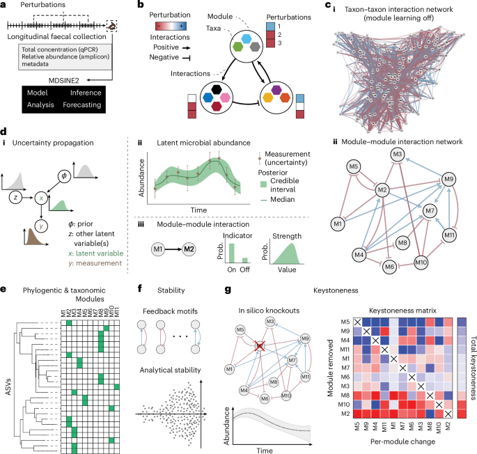 Learning ecosystem-scale dynamics from microbiome data with MDSINE2 ...