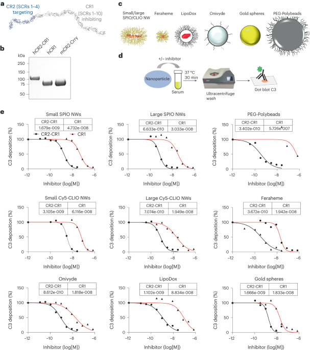 Inhibition of acute complement responses towards bolus-injected ...