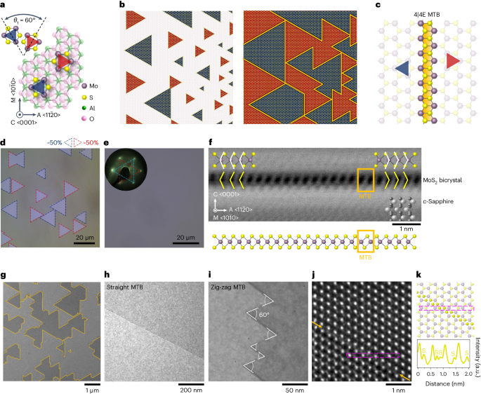 Integrated 1D epitaxial mirror twin boundaries for ultrascaled 2D MoS2 ...
