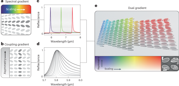 Continuous spectral and coupling-strength encoding with dual-gradient metasurfaces | Nature ...