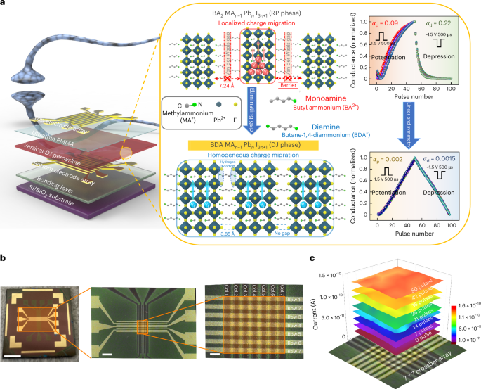 Linearly programmable two-dimensional halide perovskite memristor arrays for neuromorphic ...