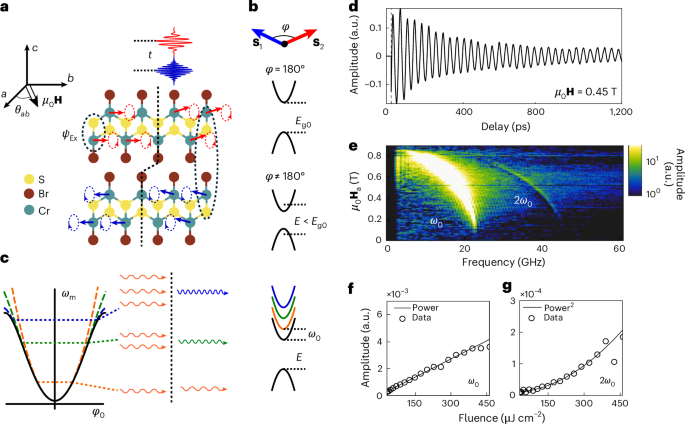 Exciton dressing by extreme nonlinear magnons in a layered ...