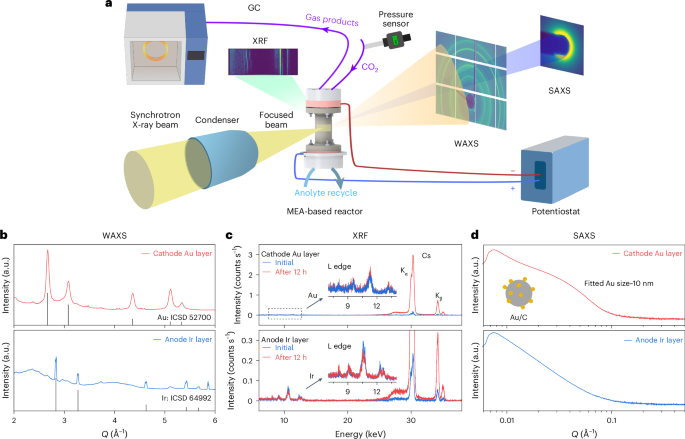 Operando X-ray characterization platform to unravel catalyst ...