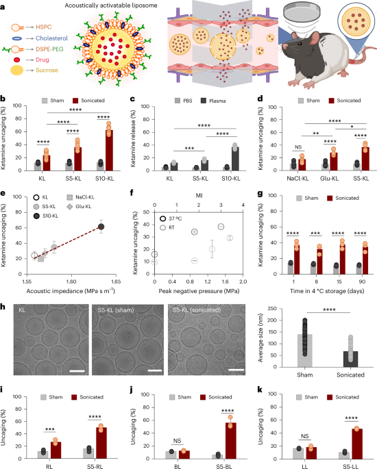 Acoustically activatable liposomes as a translational nanotechnology ...