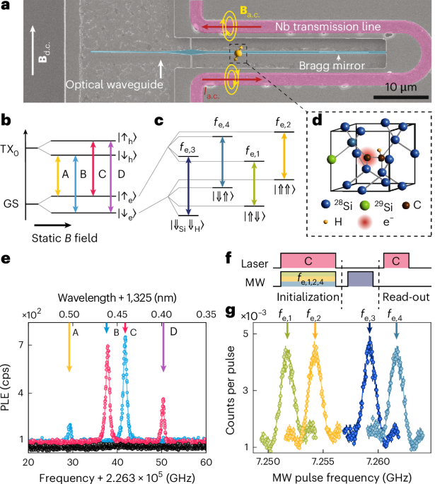 Entanglement of a nuclear spin qubit register in silicon photonics | Nature Nanotechnology