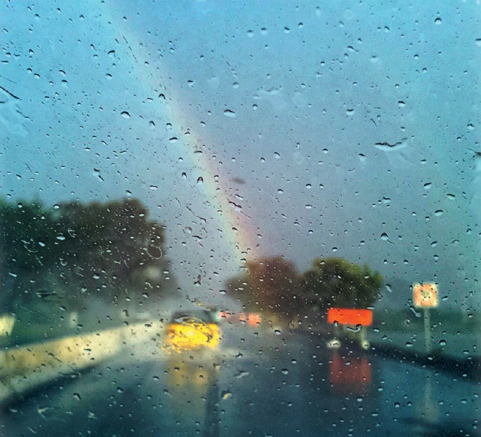 Revealing the unseeable by digital clearing | Nature Photonics