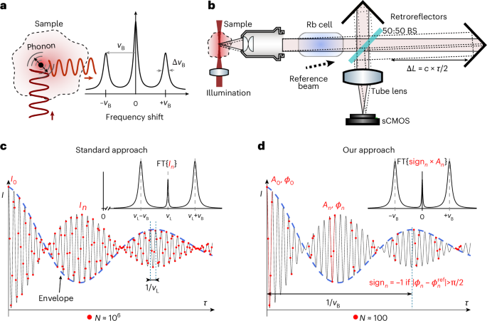 Full-field Brillouin microscopy based on an imaging Fourier-transform ...
