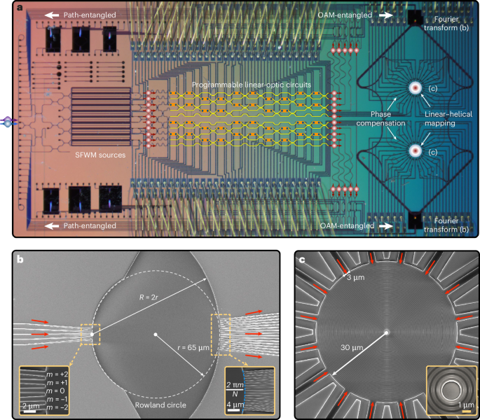 Integrated optical entangled quantum vortex emitters | Nature Photonics