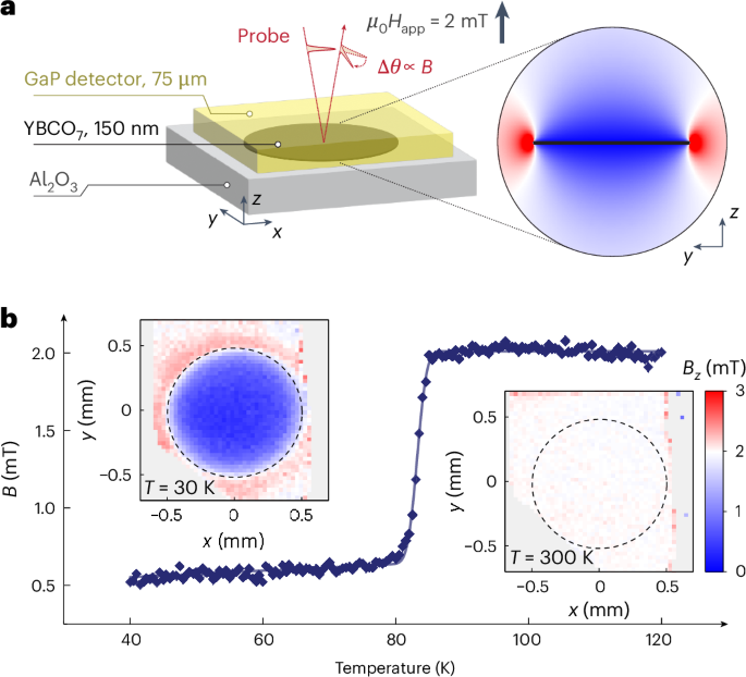 Generation of ultrafast magnetic steps for coherent control | Nature ...
