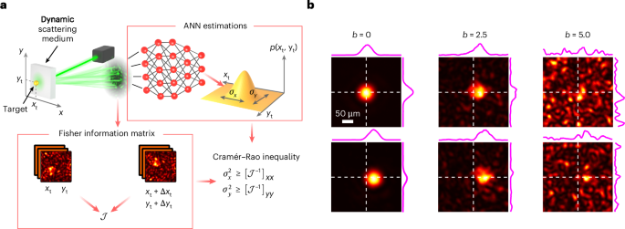 Model-free estimation of the Cramér–Rao bound for deep learning ...