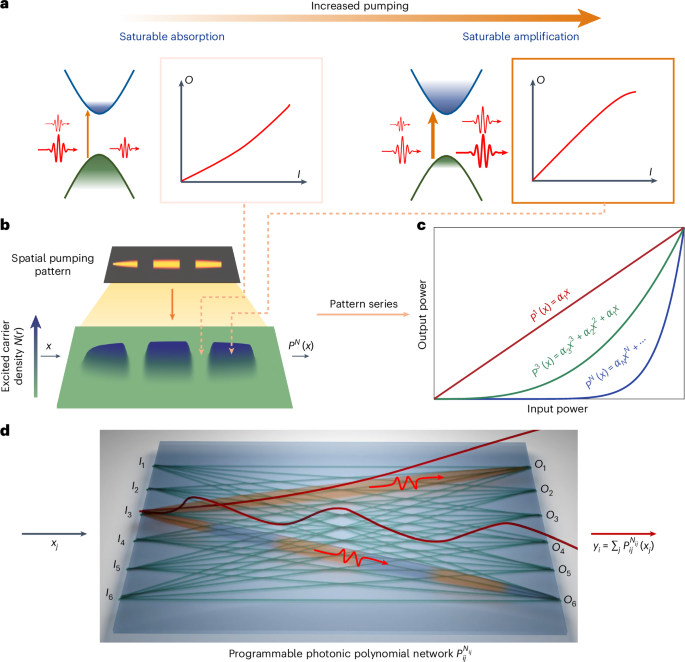 Field-programmable photonic nonlinearity | Nature Photonics