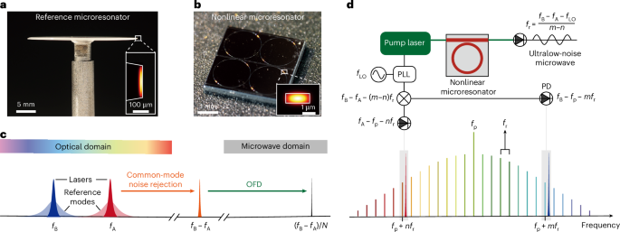 Microresonator-referenced soliton microcombs with zeptosecond-level ...